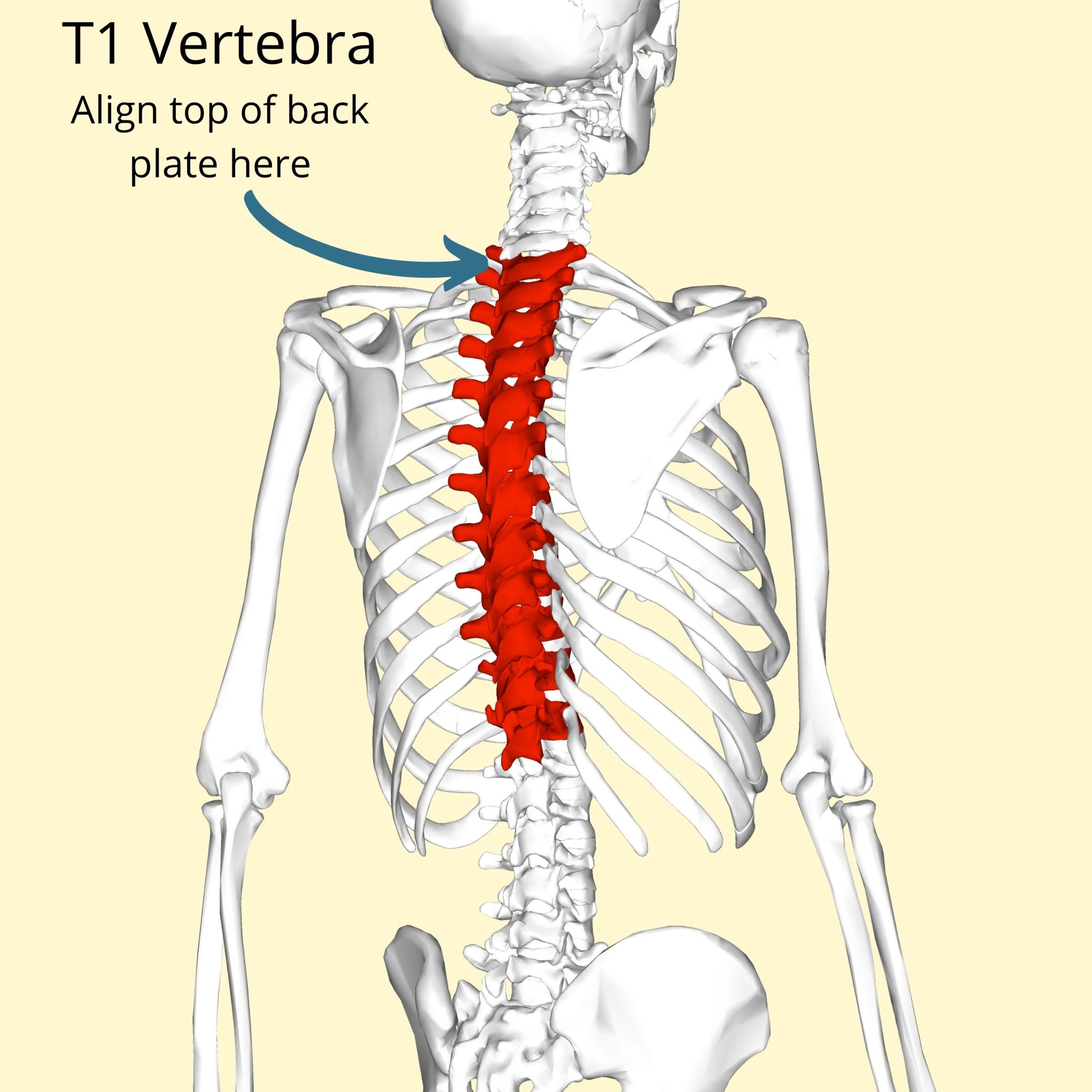 Evaluating Your Gear for Real World Use
