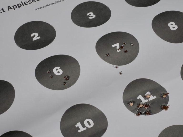 Pistols and Patriotism: Project Appleseed Pistol Clinic AAR