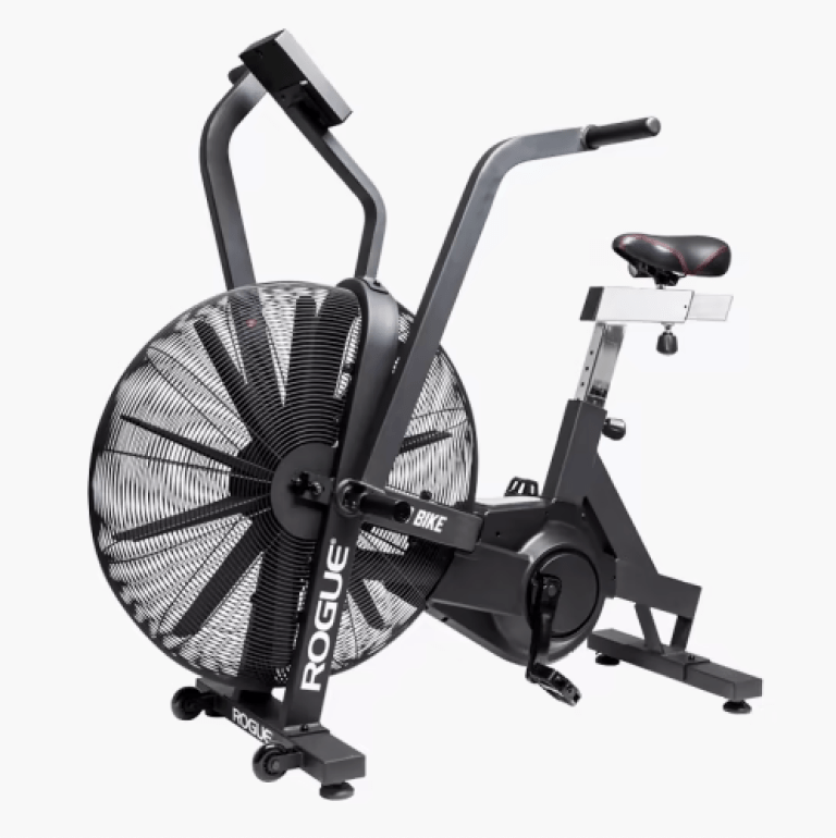 The King of Garage Gym Cardio: Rogue Echo Bike vs C2 BikeErg